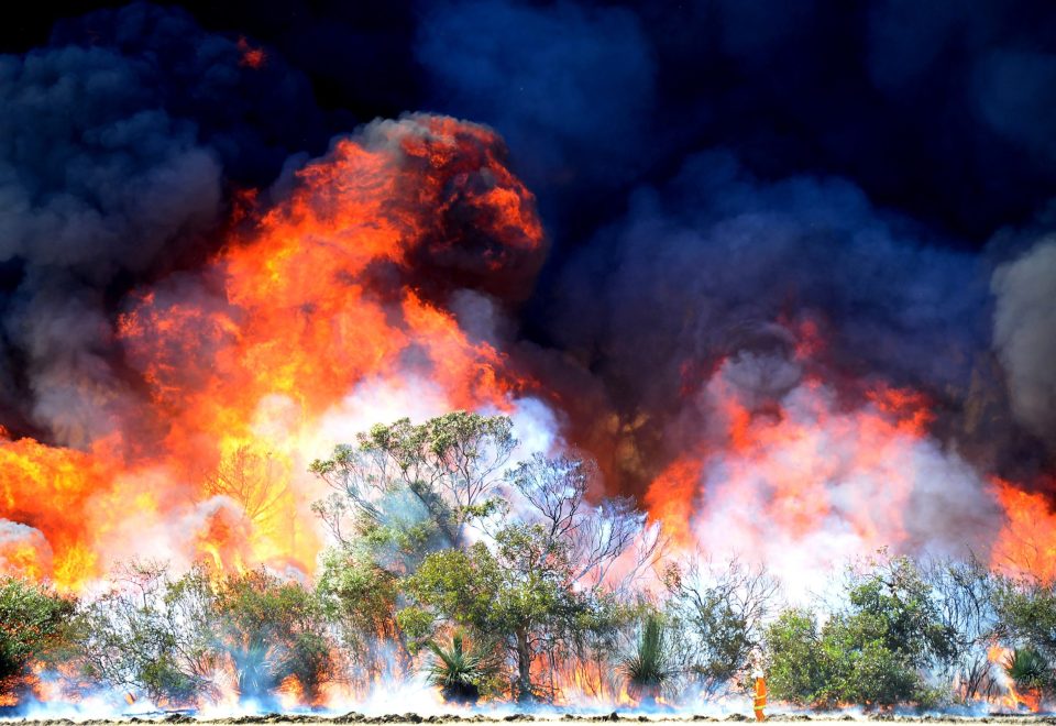 black summer, australia - Jeremy Piper