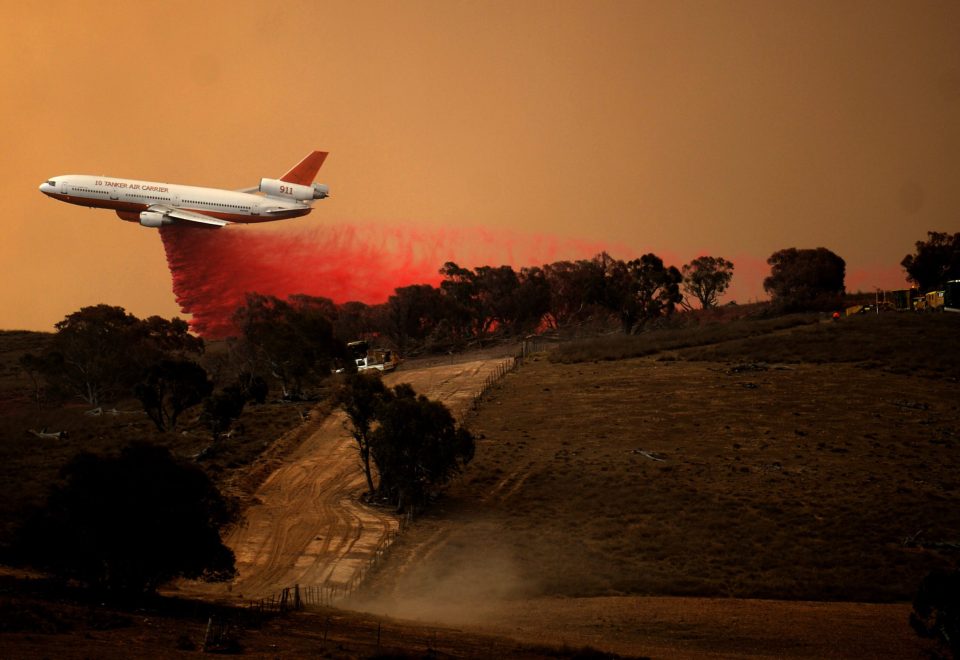 black summer, australia - Jeremy Piper